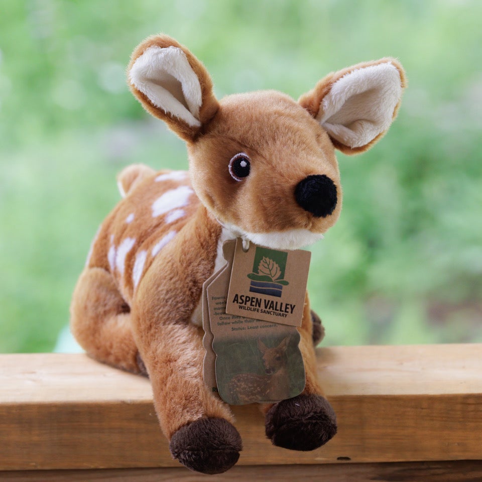 Stuffie, fawn | Aspen Valley Wildlife Sanctuary